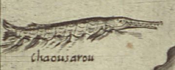 Guest curator: Isabelle Charron | Library and Archives Canada Blog