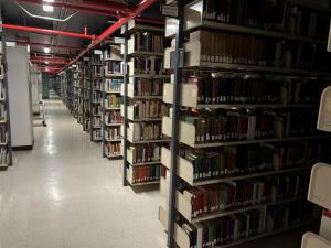 Library and Archives Canada Blog | This is the official blog of Library ...